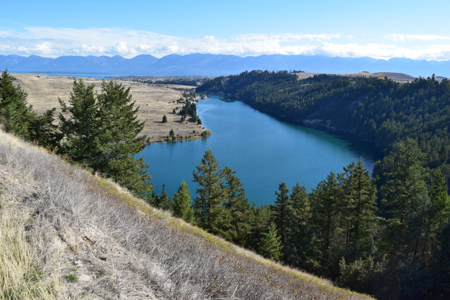 Home - Mission Valley Power